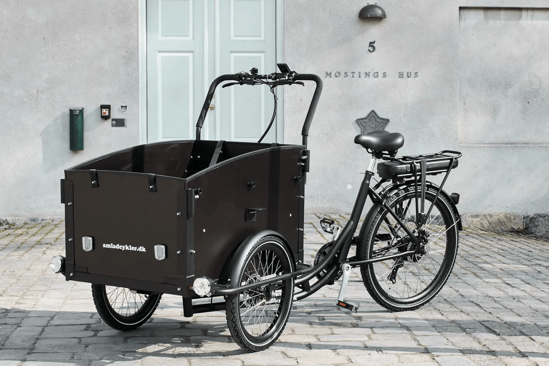 2 Seater Electric Bikes | Carry Passengers & Extra Cargo – Bike Yard Online